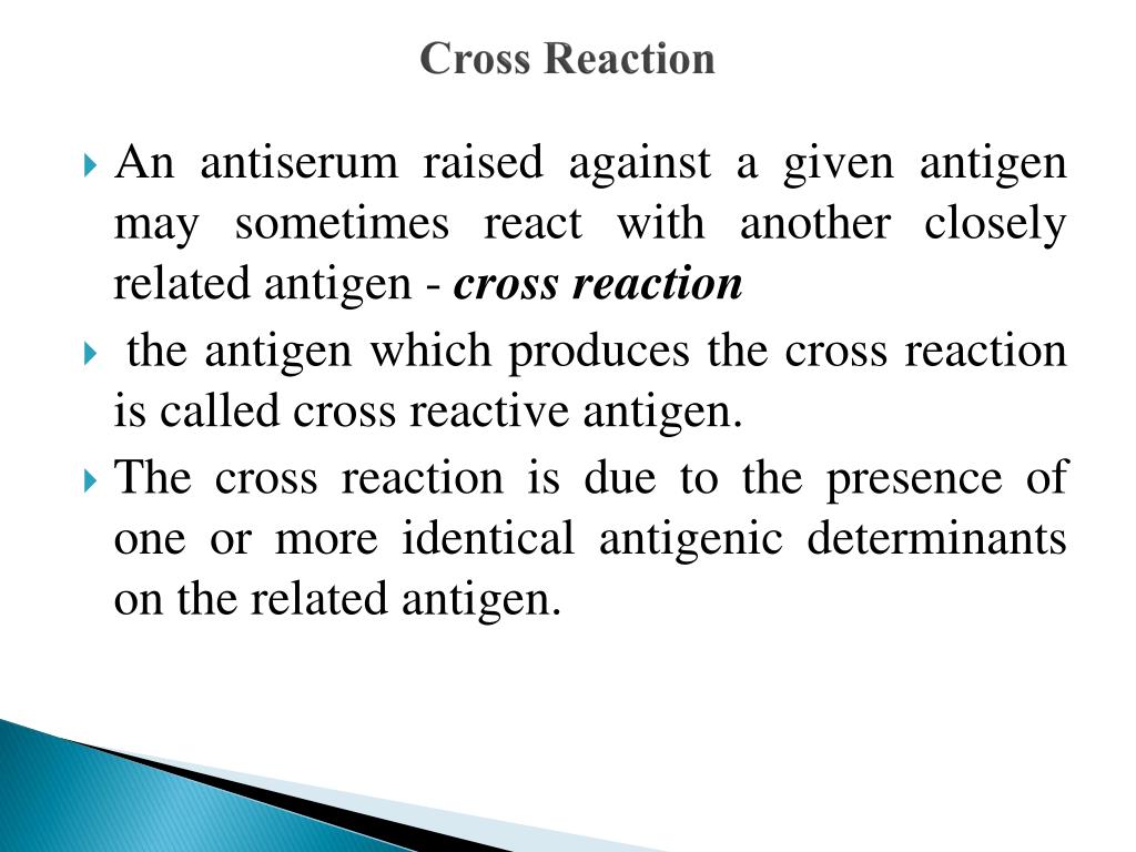 PPT - Antigen-antibody reaction PowerPoint Presentation, free download ...