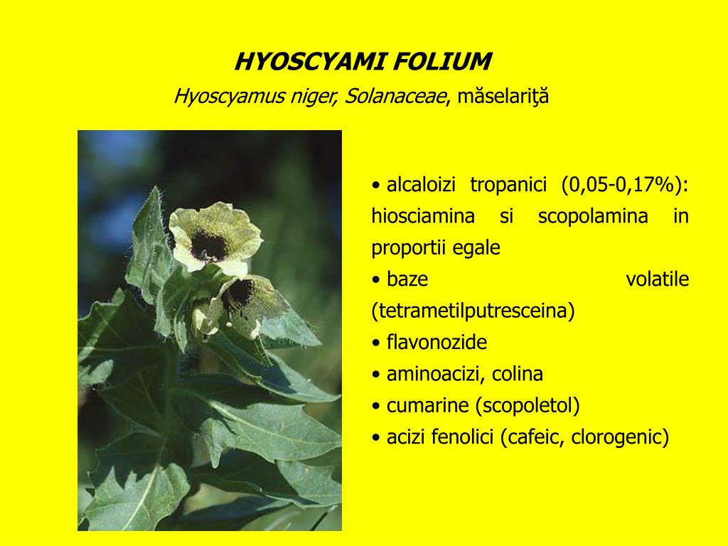 PPT - doza eficienta = 0,015 mg/kg corp doza toxica=mai mare de 0,1 mg ...