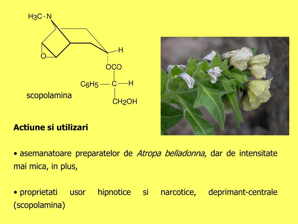 PPT - doza eficienta = 0,015 mg/kg corp doza toxica=mai mare de 0,1 mg ...