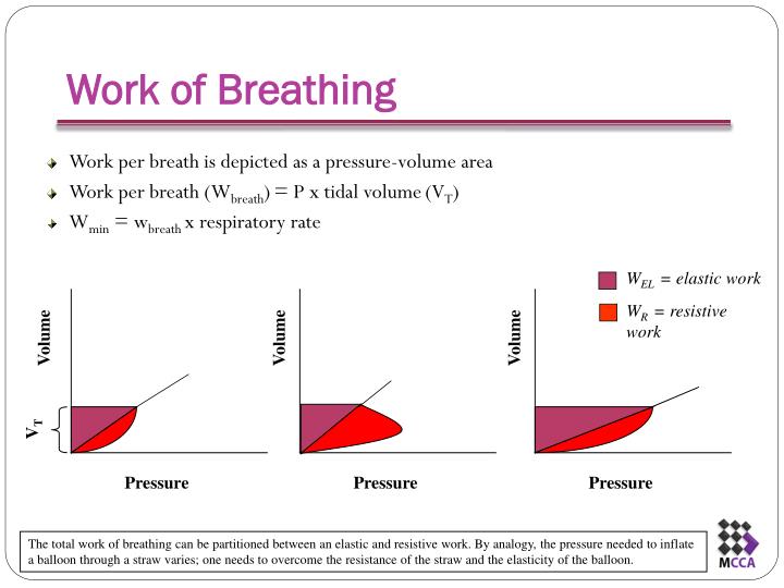 PPT - Advanced Pulmonary Mechanics during Mechanical Ventilation ...
