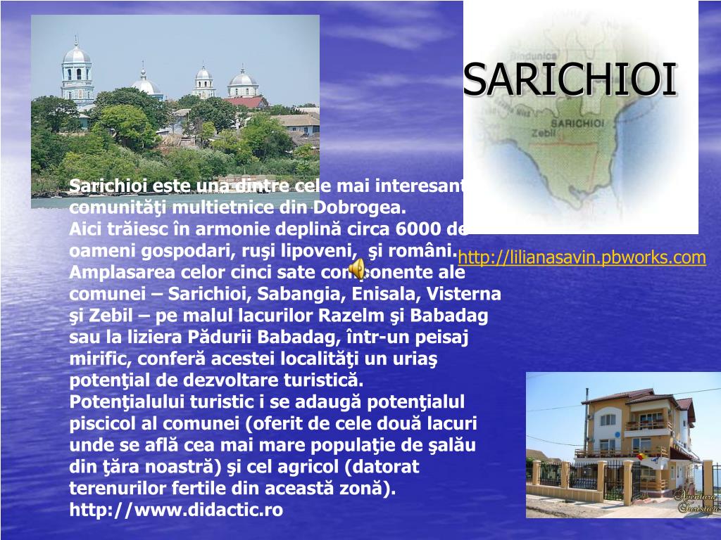 PPT - SARICHIOI PowerPoint Presentation, free download - ID:2975059
