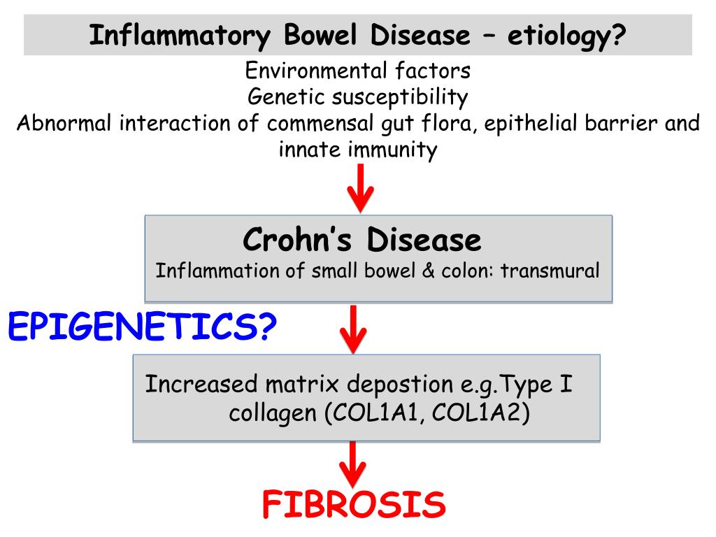 PPT - Epigenetic regulation of IBD-associated fibrosis: potential for ...
