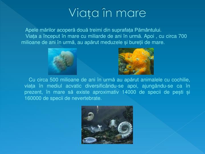 PPT - Mediul acvatic PowerPoint Presentation - ID:2975185