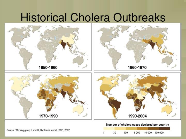PPT - Cholera PowerPoint Presentation - ID:2975187