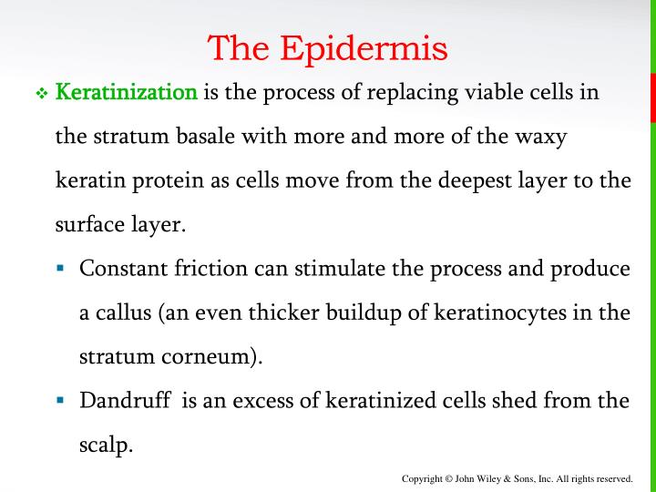 PPT - Chapter 5 PowerPoint Presentation - ID:2975386