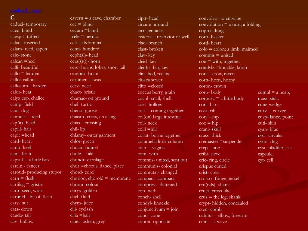 PPT - Anatomical Words and Word Roots (Greek & Latin) a - azyg A a(n ...