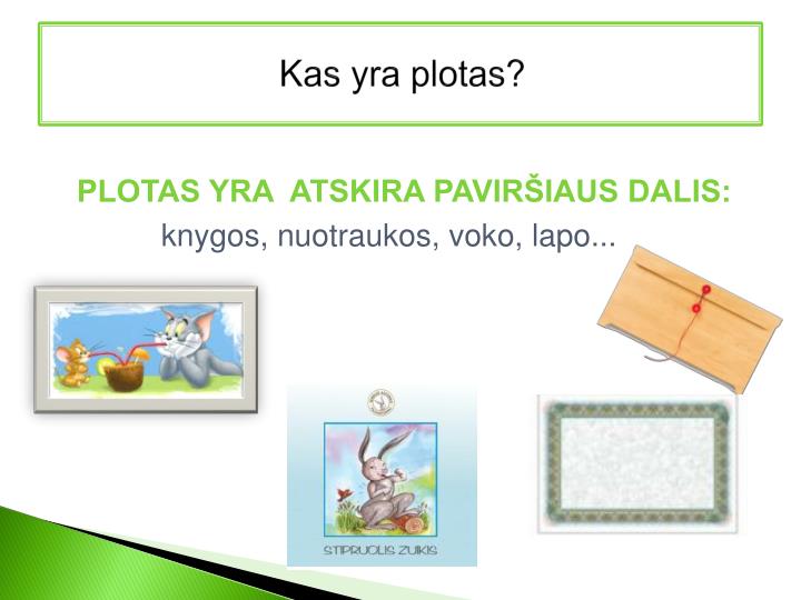 PPT - Plotas PowerPoint Presentation - ID:2975849