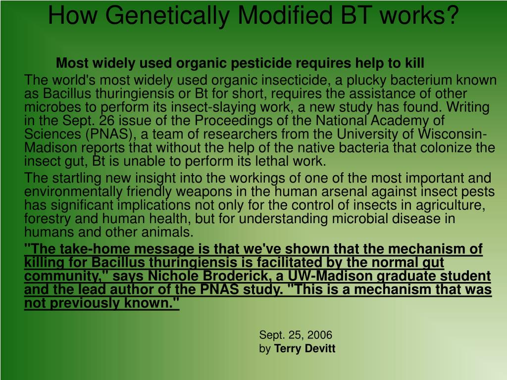 PPT - Bacteria, Biofilm, and Bio-pesticide BT ( B acillus T ...