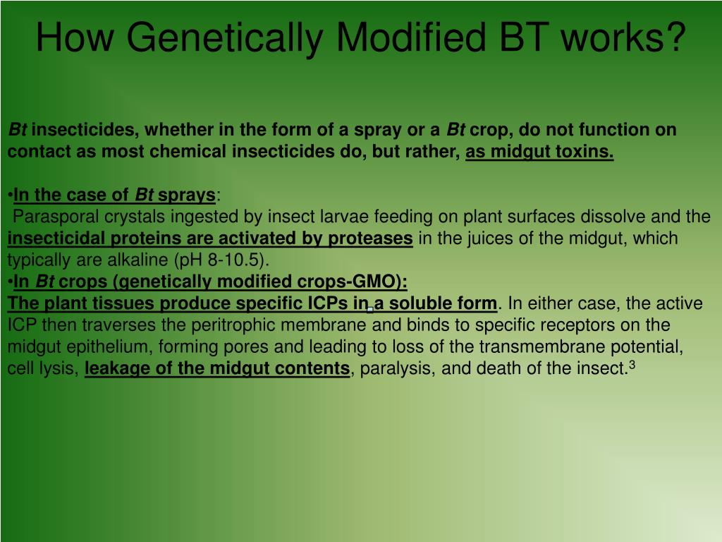 PPT - Bacteria, Biofilm, and Bio-pesticide BT ( B acillus T ...