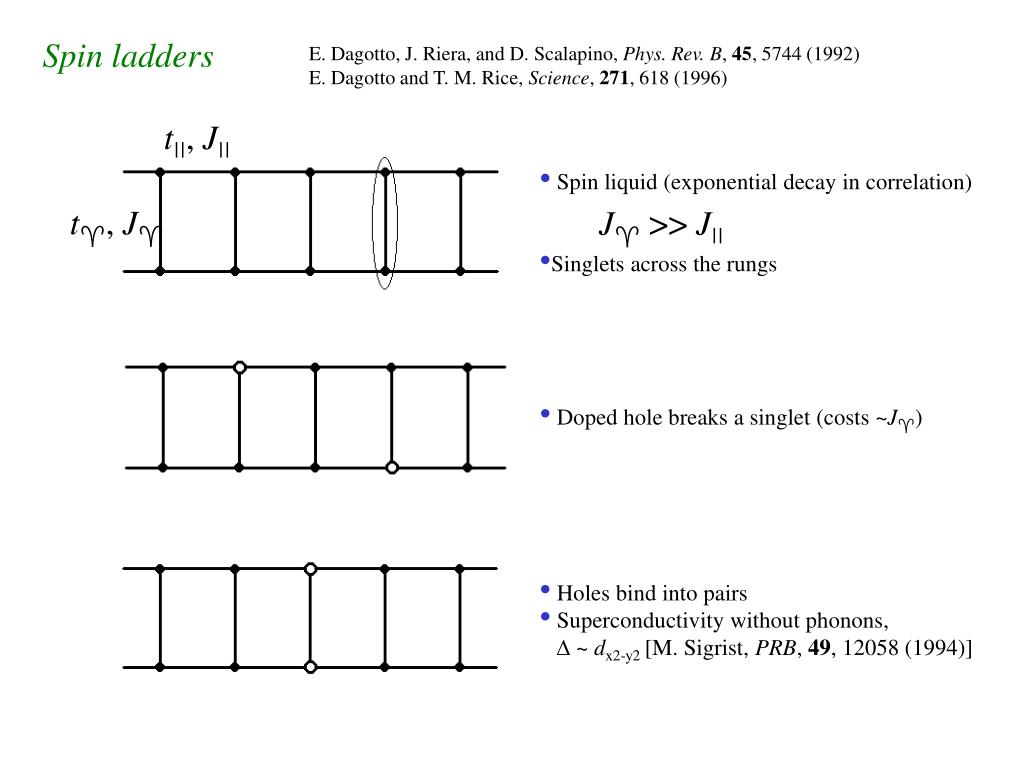 PPT - Crystallization of holes in the spin ladder of Sr 14 Cu 24 O 41 ...