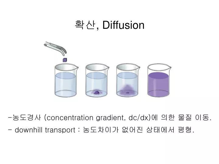 PPT - 확산 , Diffusion PowerPoint Presentation, free download - ID:2976603