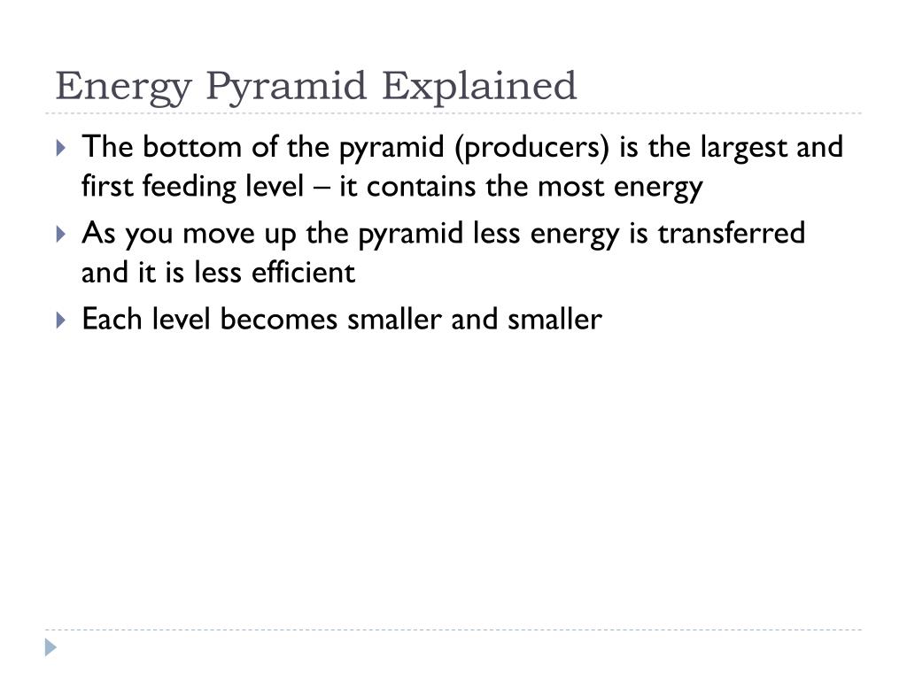 PPT - Food Webs & Energy Transfers by: R.Morales PowerPoint ...