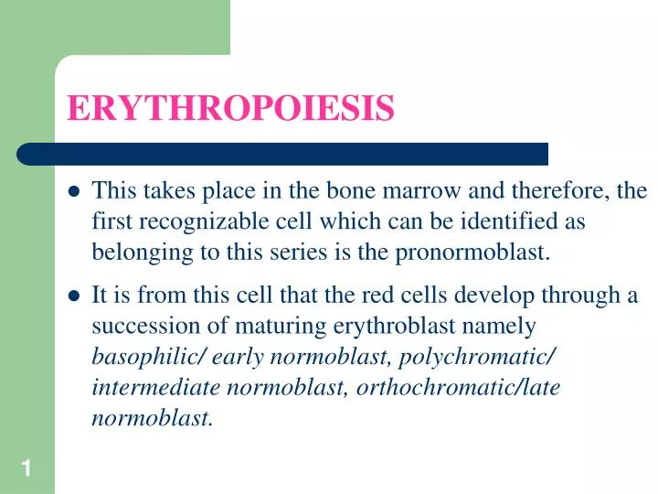 PPT - ERYTHROPOIESIS PowerPoint Presentation, free download - ID:2977113