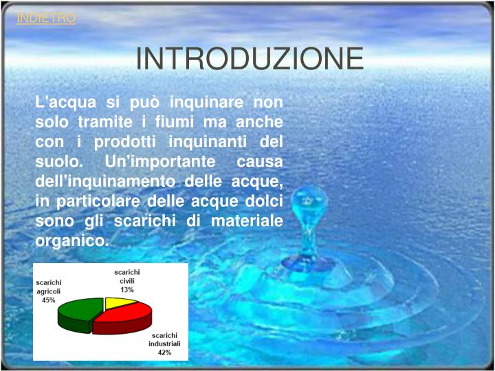 PPT - INQUINAMENTO DELL’ ACQUA PowerPoint Presentation - ID:2977146