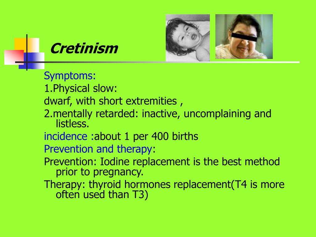 PPT - Thyroid hormones and antithyroid drugs PowerPoint Presentation ...