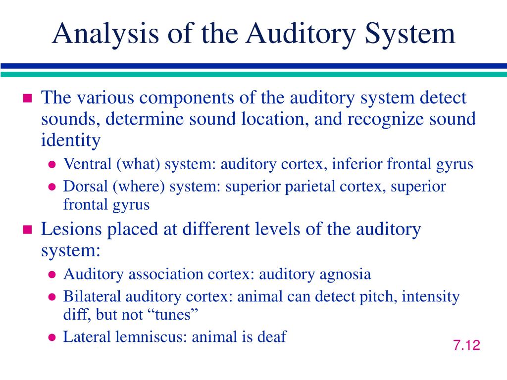 PPT - 7: Audition, the Body Senses, and the Chemical Senses PowerPoint ...