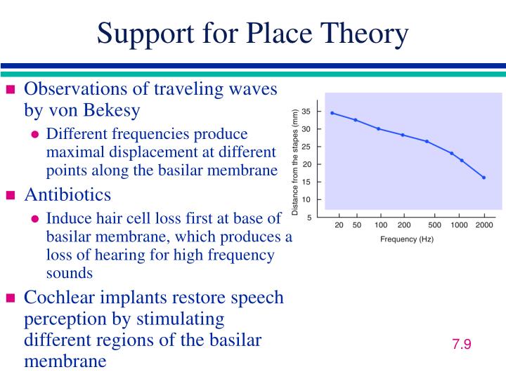 PPT - 7: Audition, the Body Senses, and the Chemical Senses PowerPoint ...