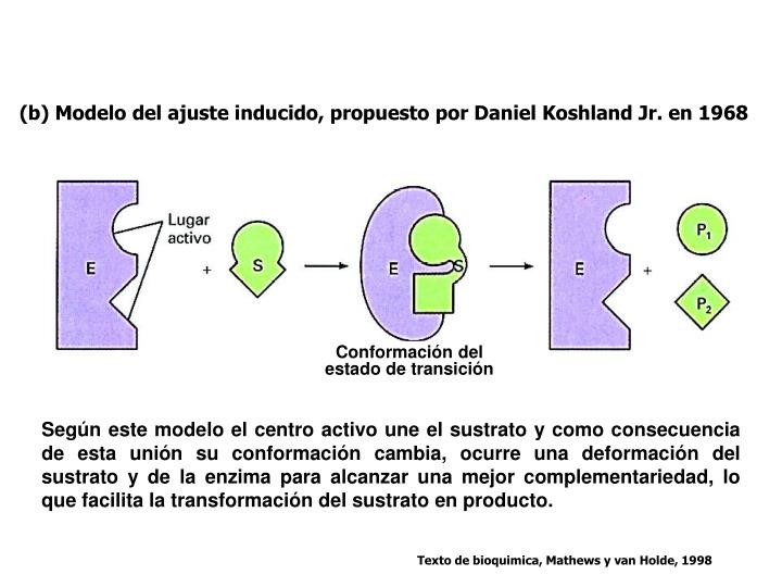 PPT - Unidad 2 Tema1. Enzimas Tema2. Coenzimas Profesora Miledys A ...