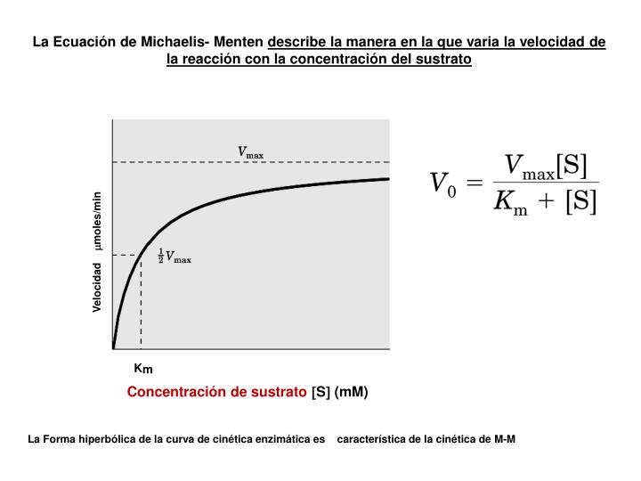 PPT - Unidad 2 Tema1. Enzimas Tema2. Coenzimas Profesora Miledys A ...