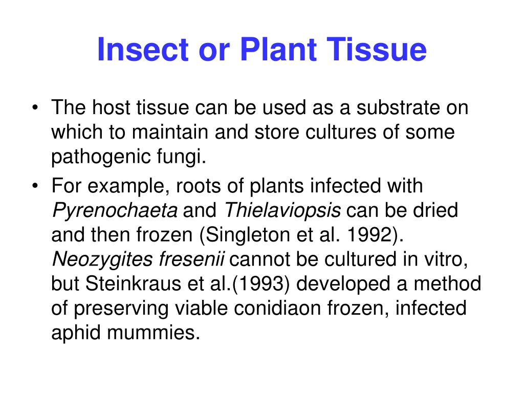 PPT - CULTURE PRESERVATION PowerPoint Presentation, free download - ID ...