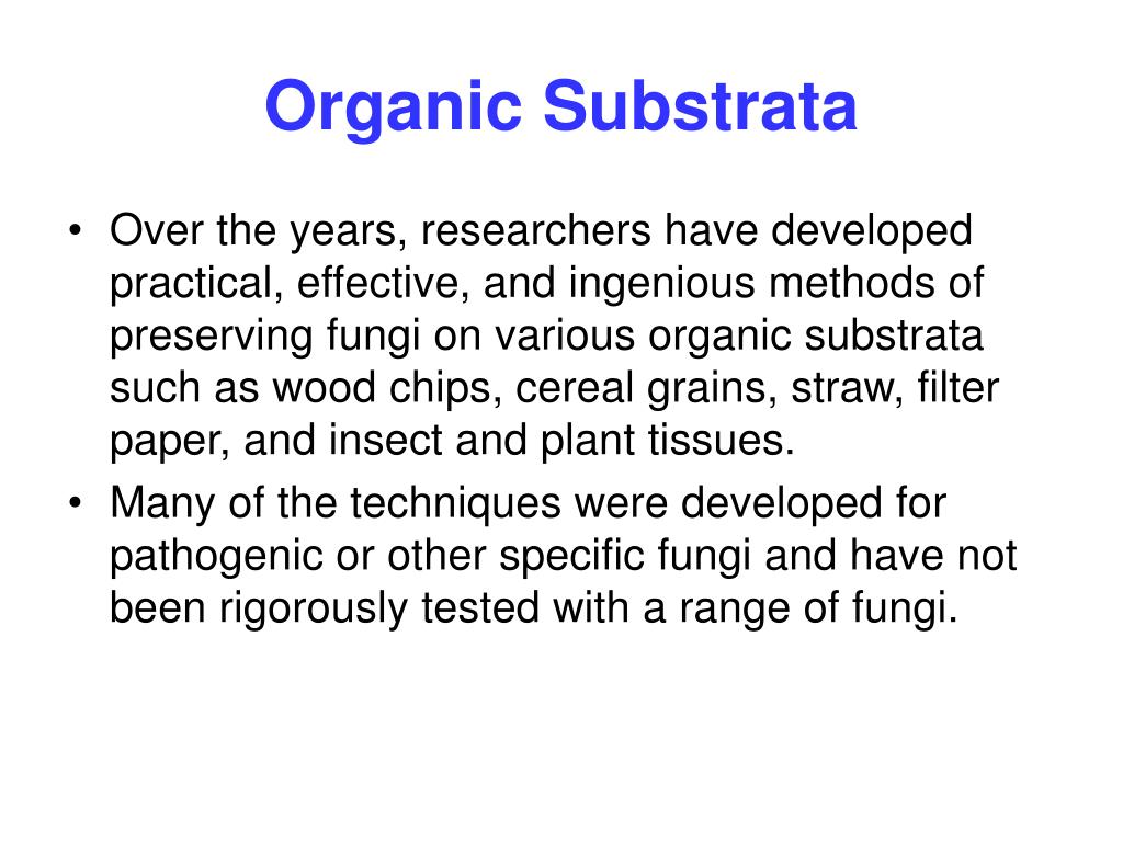 PPT - CULTURE PRESERVATION PowerPoint Presentation, free download - ID ...