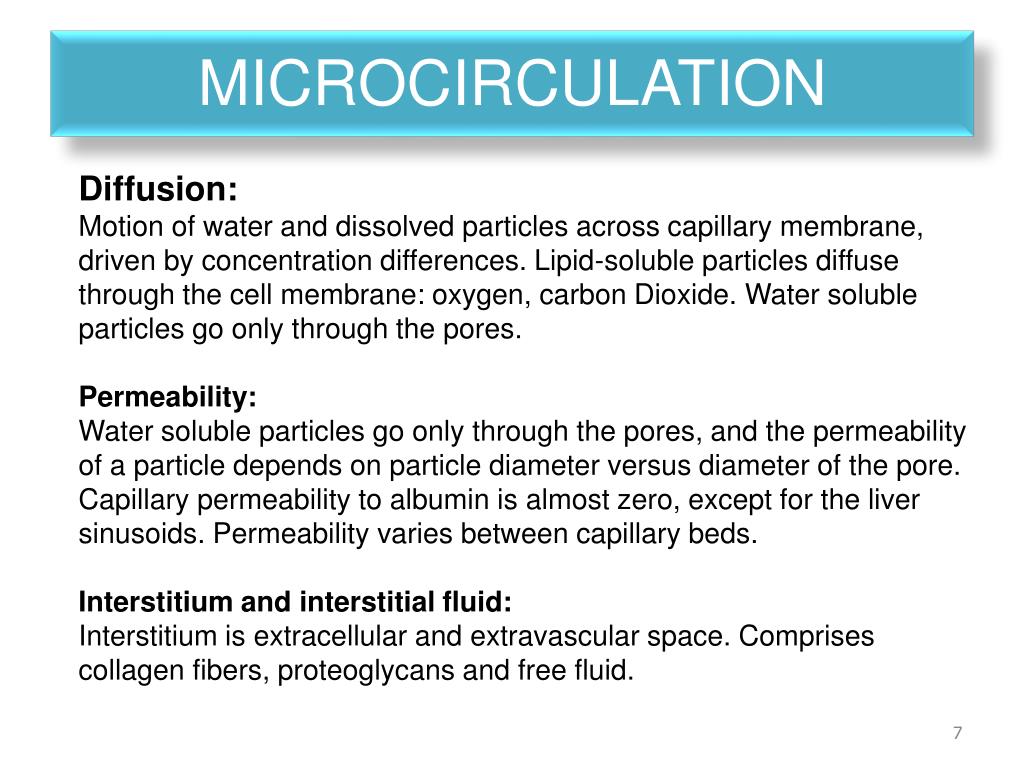 Ppt Microcirculation Powerpoint Presentation Free Download Id 2977867