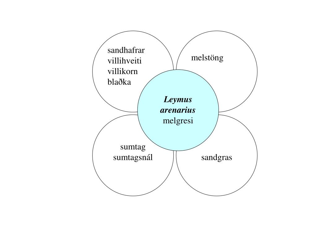 PPT - Icelandic medieval monastic sites: Icelandic plant-names and ...