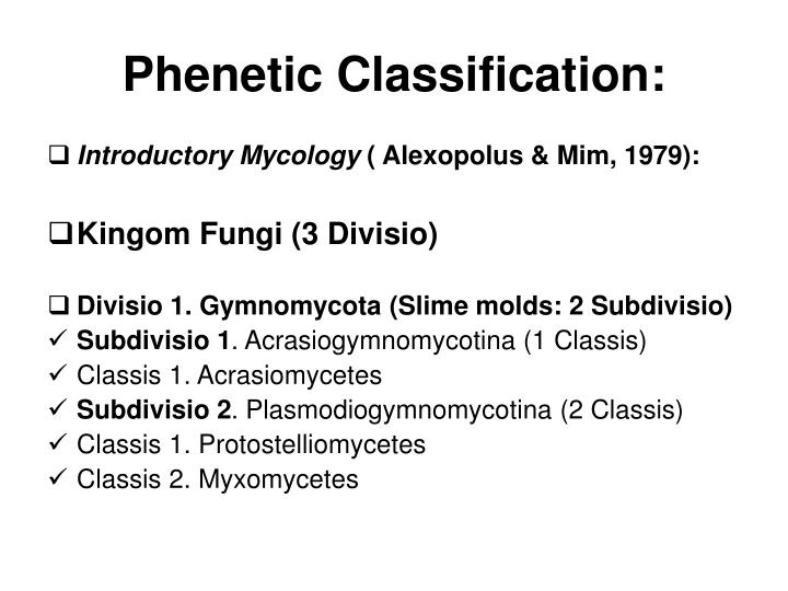 PPT - Dunia Fungi PowerPoint Presentation - ID:2978470