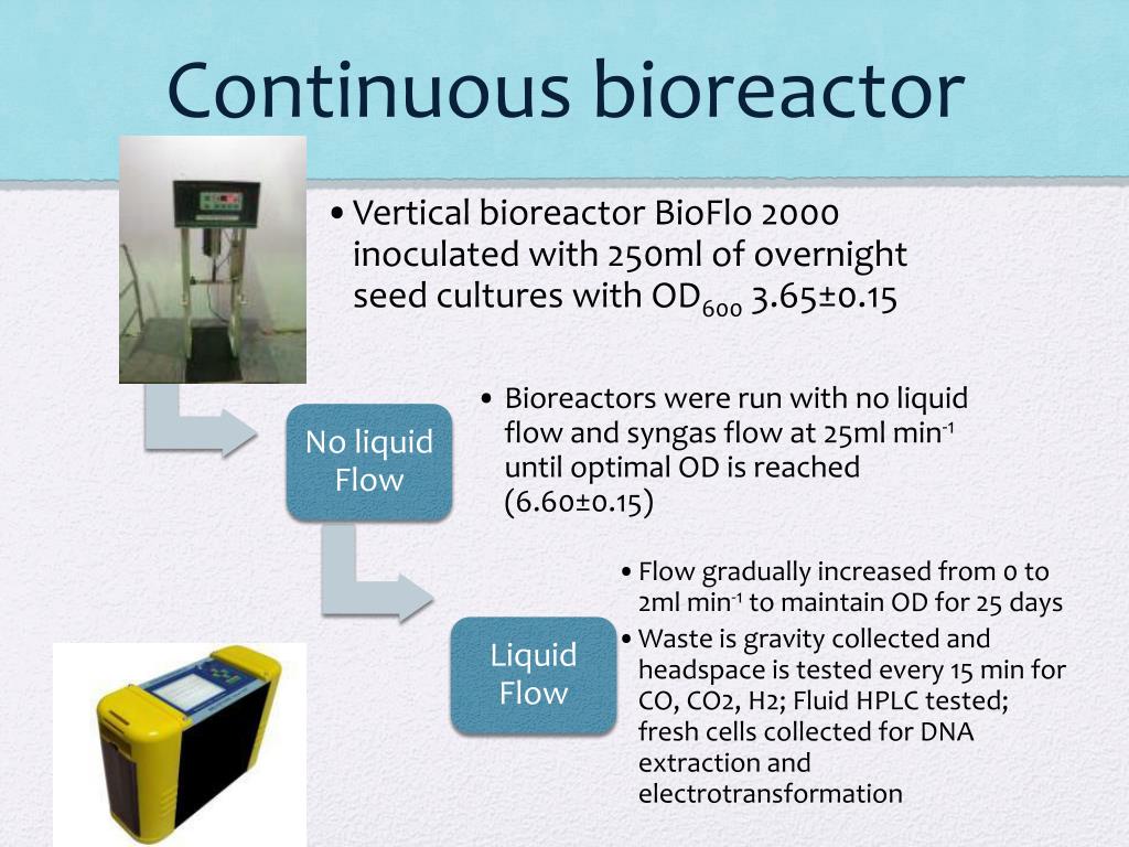 PPT - Katelyn McKindles Bio 381 November 29 th , 2012 PowerPoint ...