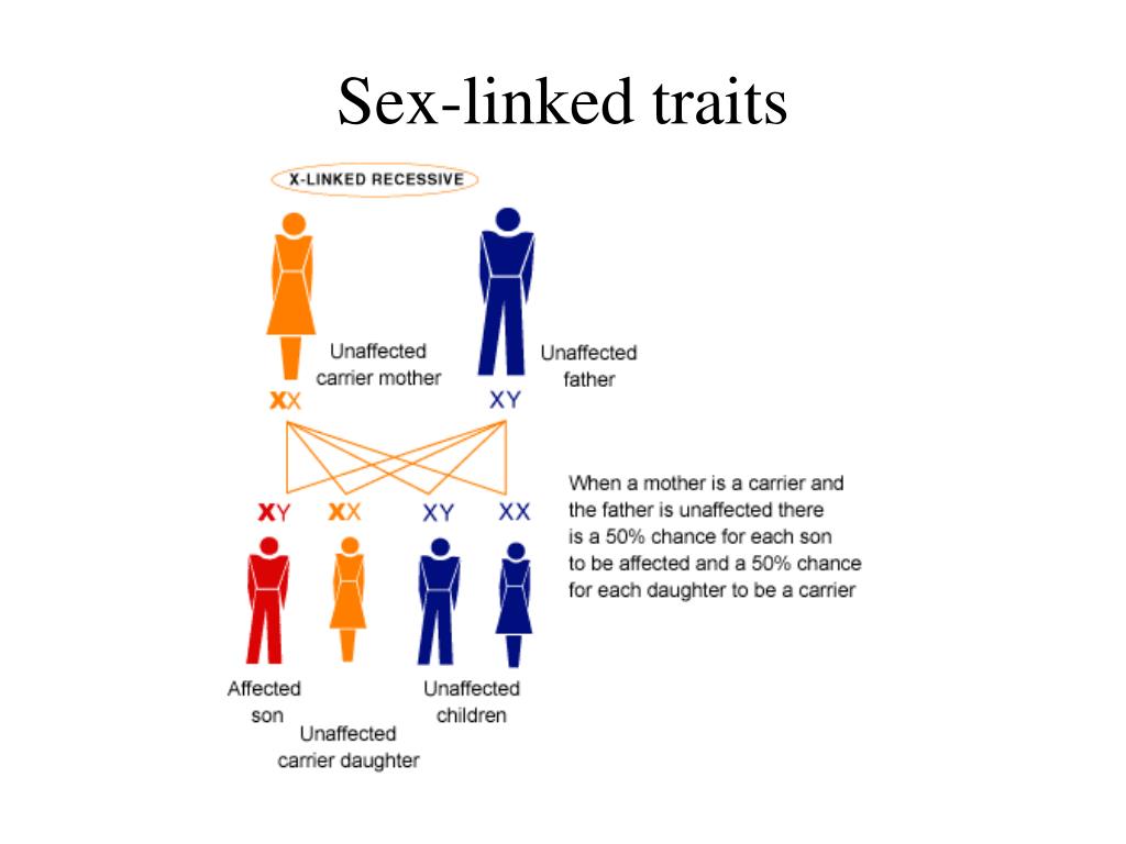 Ppt Genetic Diseases Powerpoint Presentation Free Download Id 2978668