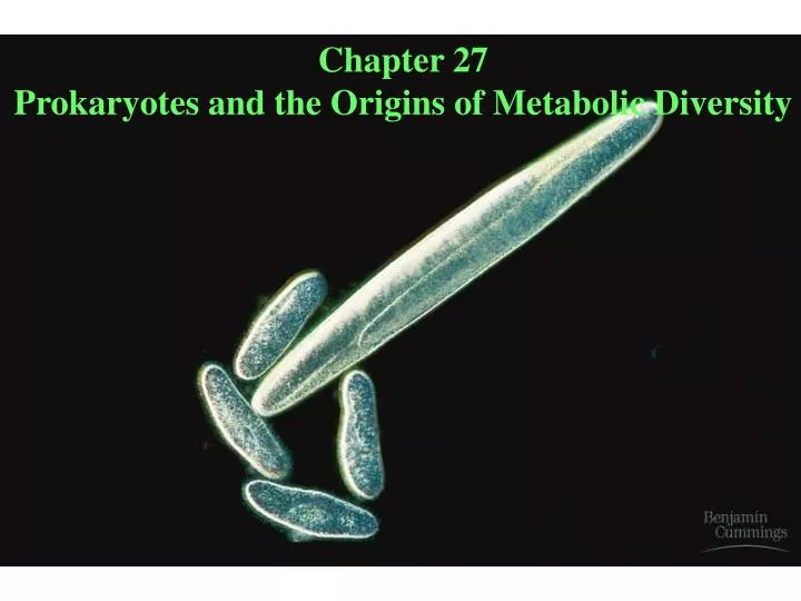 PPT - Chapter 27 Prokaryotes and the Origins of Metabolic Diversity ...
