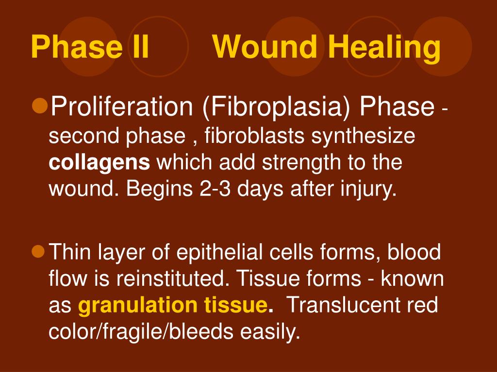 PPT - Stressors that Affect Skin Integrity Wound Care PowerPoint ...
