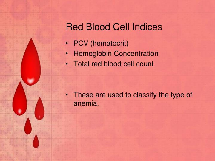 PPT - Complete Blood Count and Anemia PowerPoint Presentation - ID:2979128