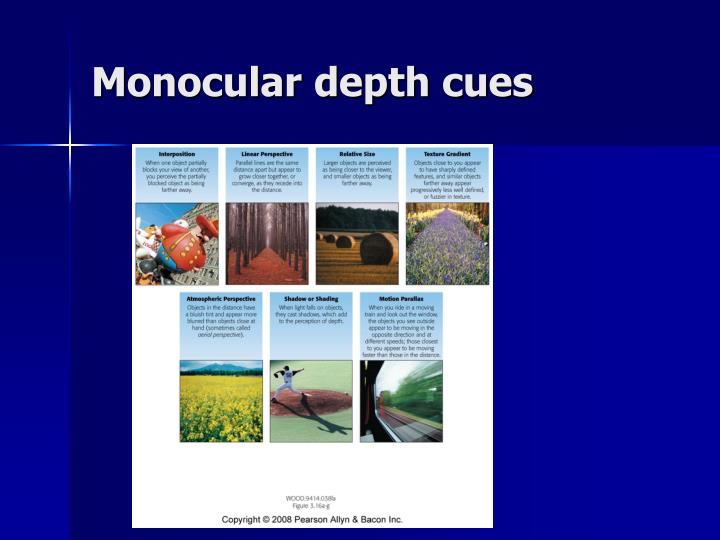 PPT - Chapter 3 Sensation and Perception PowerPoint Presentation - ID ...