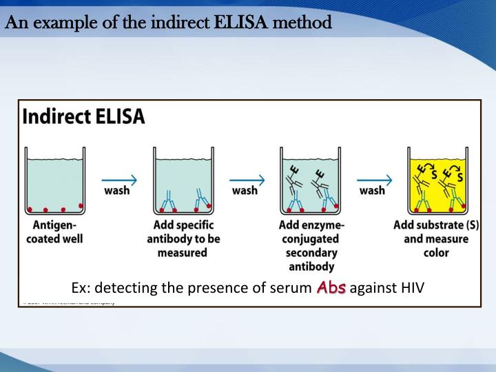 PPT - - Primary serological tests: (Marker techniques) e.g. Enzyme ...
