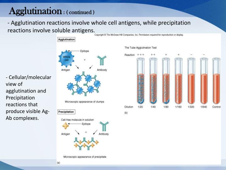 PPT - - Primary serological tests: (Marker techniques) e.g. Enzyme ...