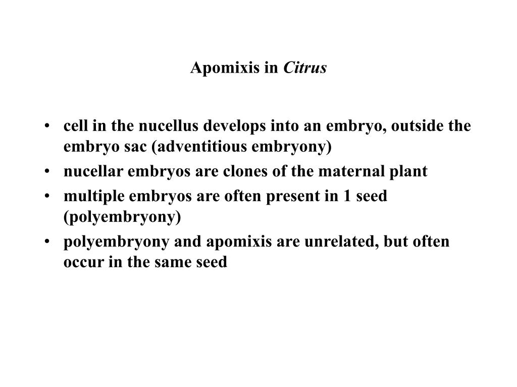 PPT - Meiosis of megaspore mother cell (Angiosperms) PowerPoint ...