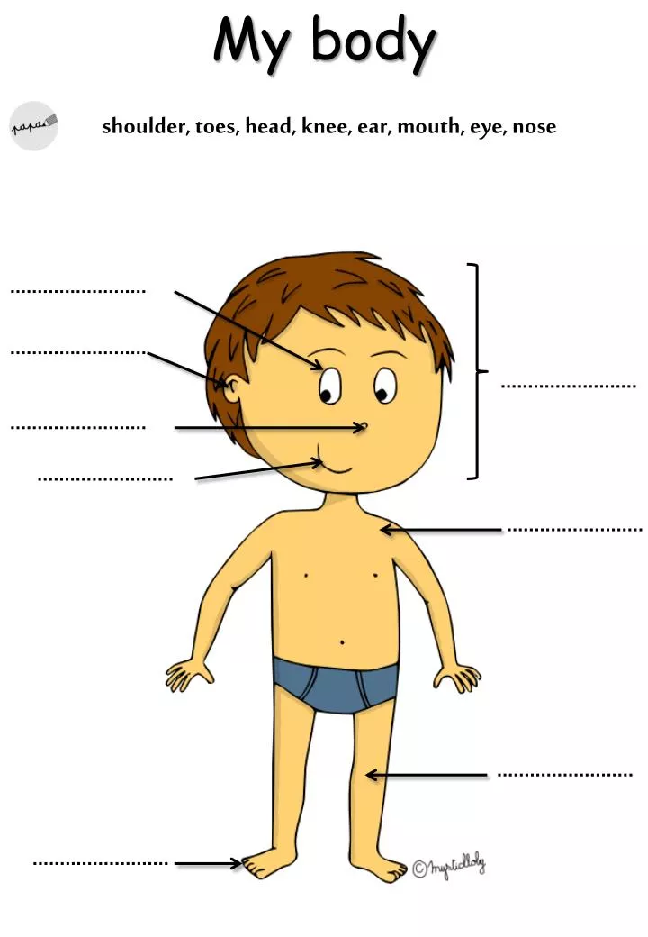 PPT - My body PowerPoint Presentation, free download - ID:2979304