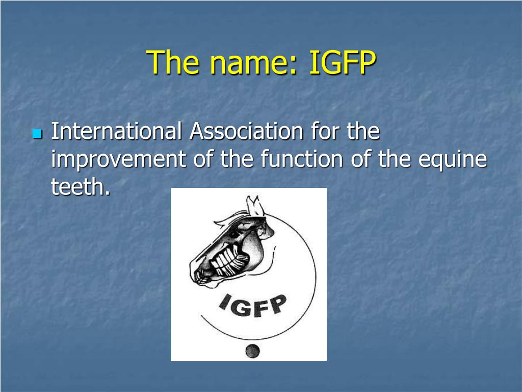 PPT - German equine dental association PowerPoint Presentation, free ...