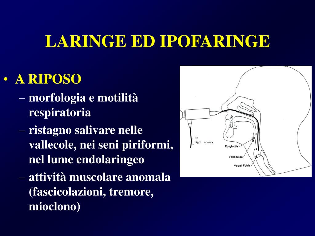 PPT - INFLUENZA DEL TRACHEOSTOMA SULLA DINAMICA DEGLUTITORIA PowerPoint ...
