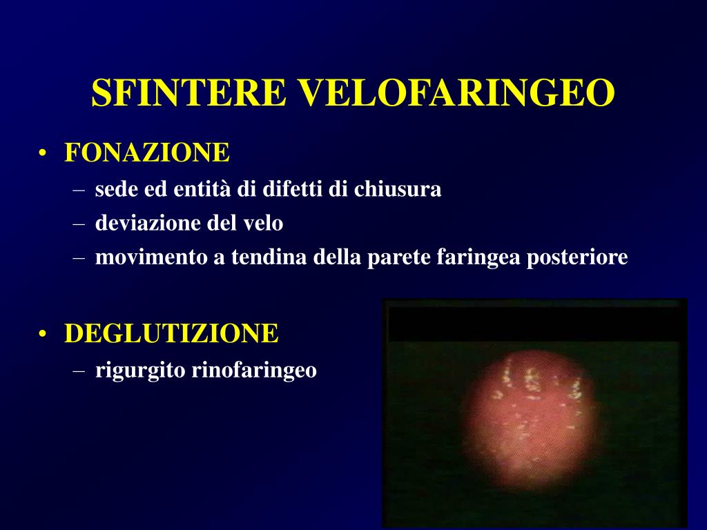PPT - INFLUENZA DEL TRACHEOSTOMA SULLA DINAMICA DEGLUTITORIA PowerPoint ...