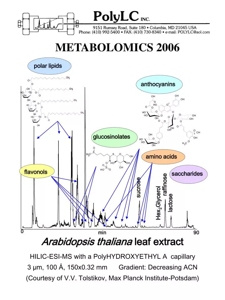 PPT - METABOLOMICS 2006 PowerPoint Presentation, free download - ID:2980031