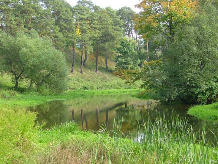 PPT - Klimaat en Vegetatie PowerPoint Presentation - ID:2980645