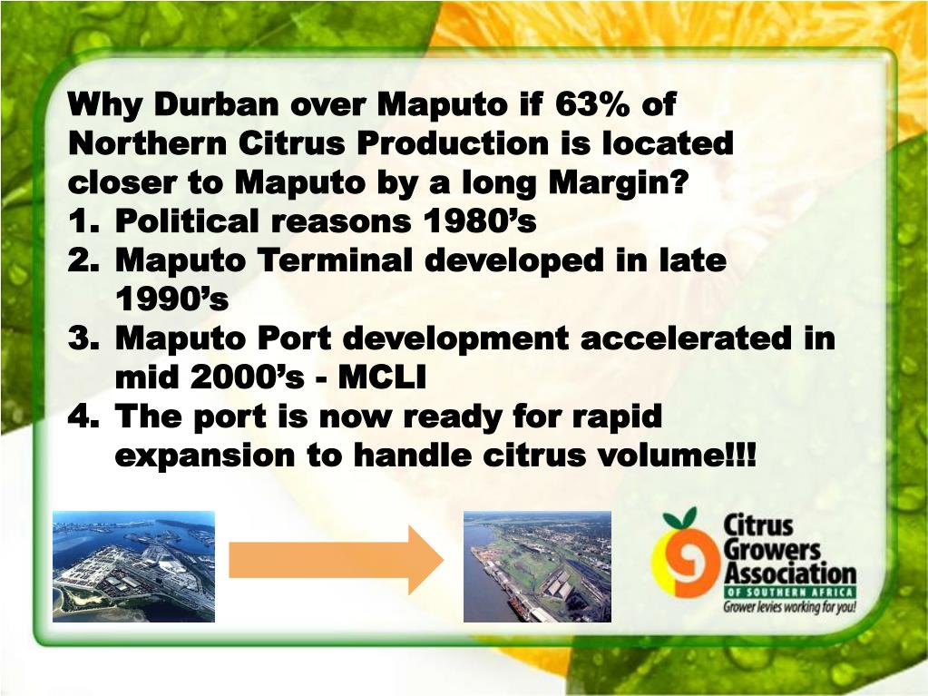 PPT - Maputo Port Development & Citrus Planning Workshop 10h30 – 6 th ...