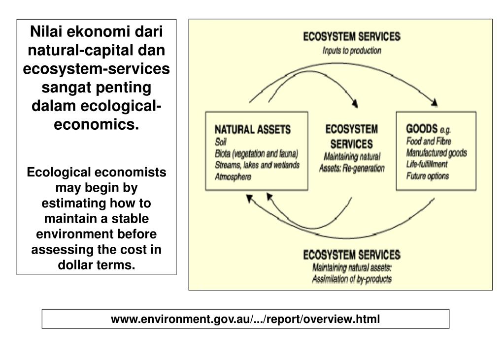 PPT - Green Economy What is the Green Economy? PowerPoint Presentation ...