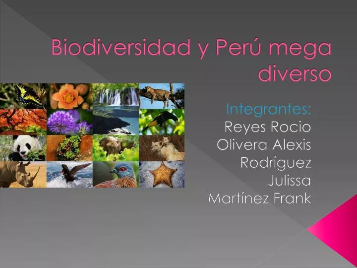 Qu Es Megadiversidad Significado Y Ejemplos