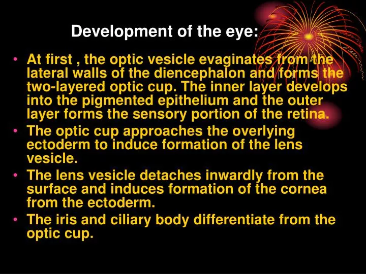 PPT - Development of the eye: PowerPoint Presentation, free download ...