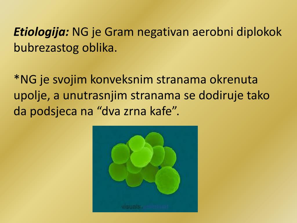 PPT - Univerzitet Istocno Sarajevo Medicinski fakultet Foca PowerPoint ...