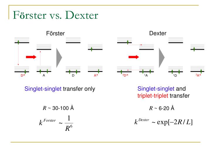 PPT - Light Harvesting and Energy Transfer PowerPoint Presentation - ID ...