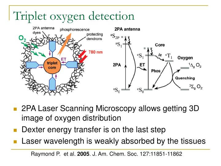 PPT - Light Harvesting and Energy Transfer PowerPoint Presentation - ID ...